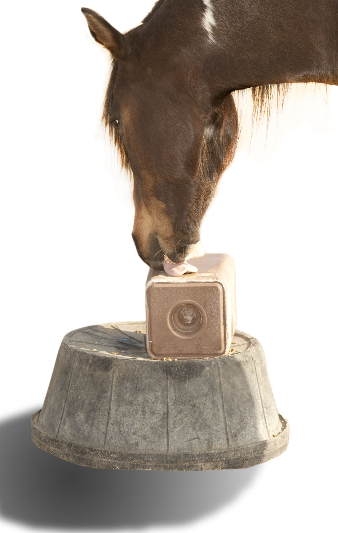 Check Your Salt-Feeding Know-How