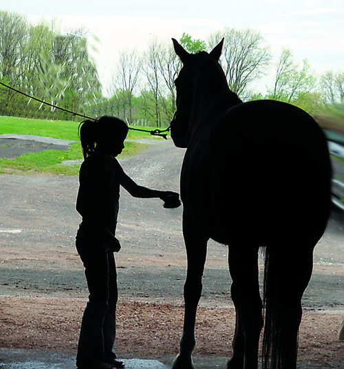 Pre-Purchase Trial? Get It in Writing!