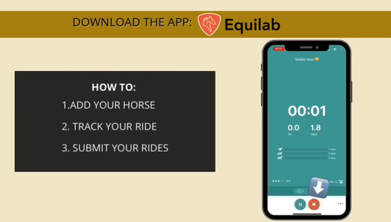How to Use Equilab | EquiSearch