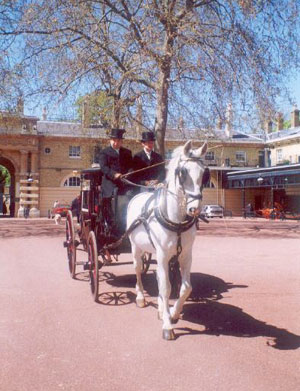 The Royal Mews -- The Royal Messenger
